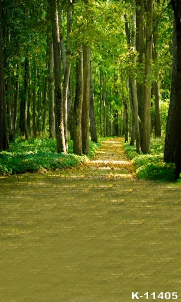 Scenic Green Forest Path Rustic Backdrops for Photography