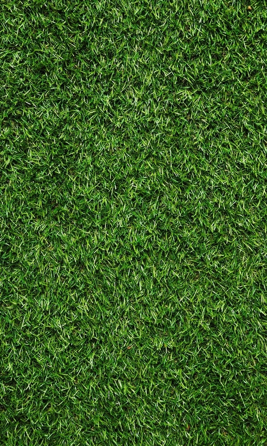 Custom Photography Background Props Grass Wall Backdrop
