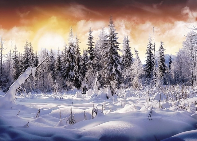 Snow Covered Winter Scene Backdrop Christmas Party Stage Decoration ...