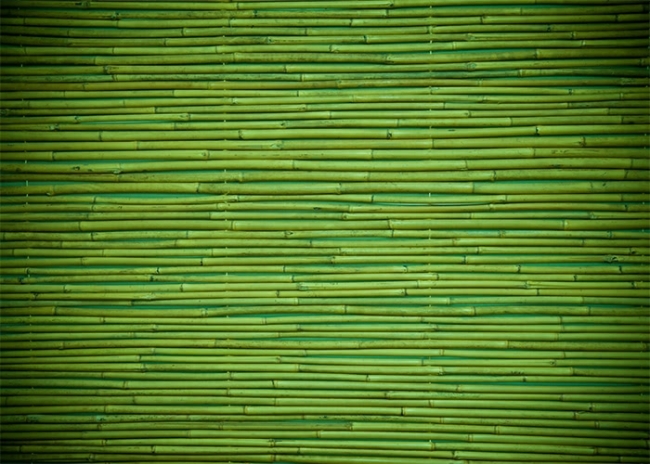 Green Bamboo Stick Backdrop Photo Booth Studio Photography Background ...