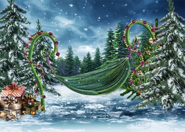 Winter Enchanted Forest Wonderland Hammock Christmas Stage Backdrop ...