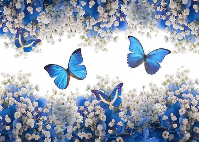 White Flower Blue Butterfly Backdrop Baby Shower Wedding Party Studio ...