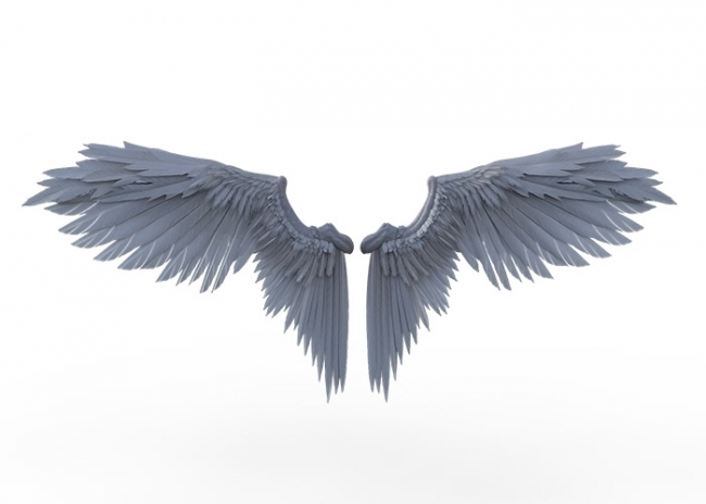 Gray Angel Wings Photography Backdrop Party Background