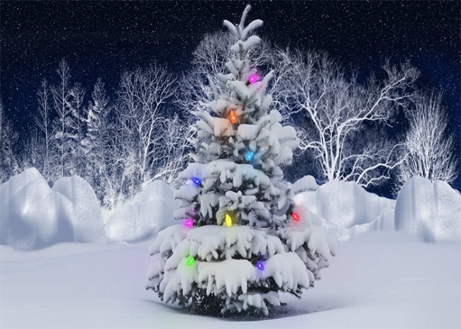 Christmas Tree Snow Scene