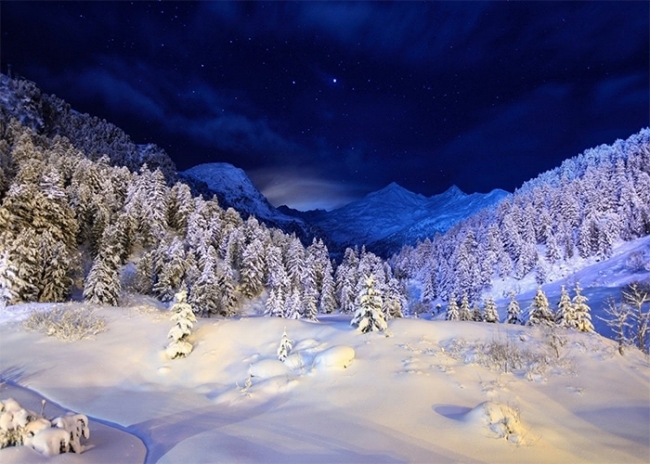 Snow Covered Forest At Night Winter Scene Backdrops Stage Photo Booth ...