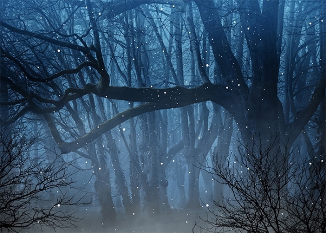 enchanted dark forest background