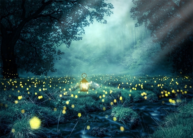 Fireflies Forest Wallpaper
