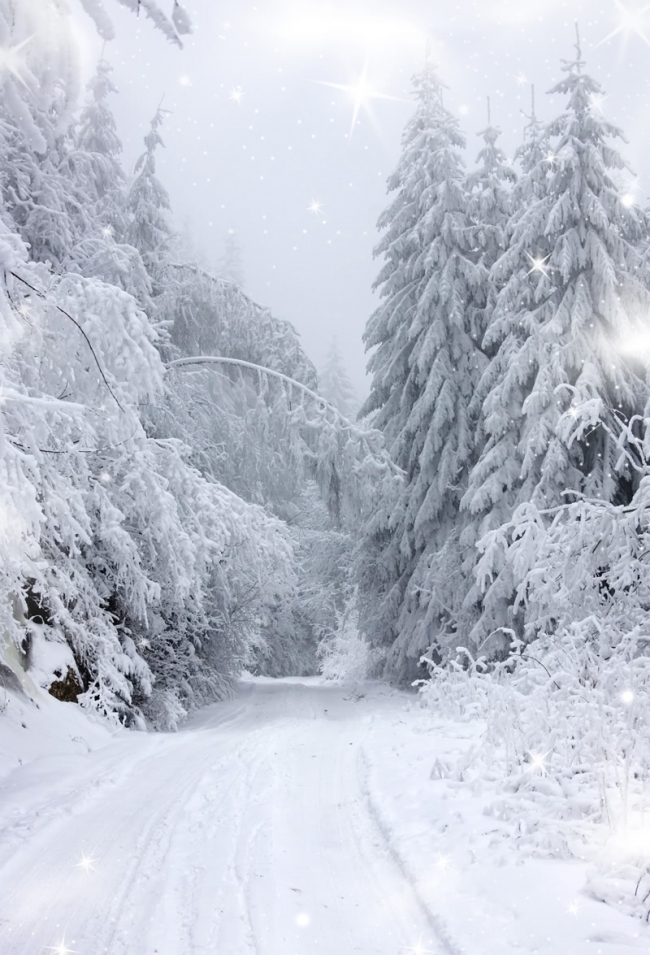 Winter Snow Wonderland Backdrop Christmas Photo Booth Photography ...