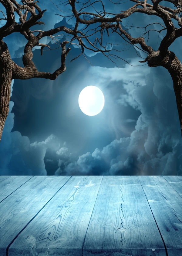 Withered Tree Wallpaper