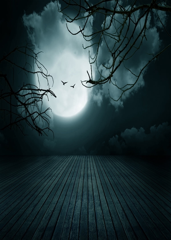 Full Moon Withered Trees Wood Floor Scenic Photography Background for ...