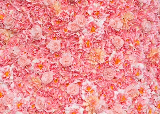 Baby Pink Floral Wallpaper