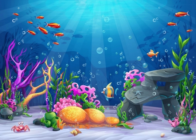 Various Tropical Fish Under The Sea Mermaid Backdrop Children Happy ...