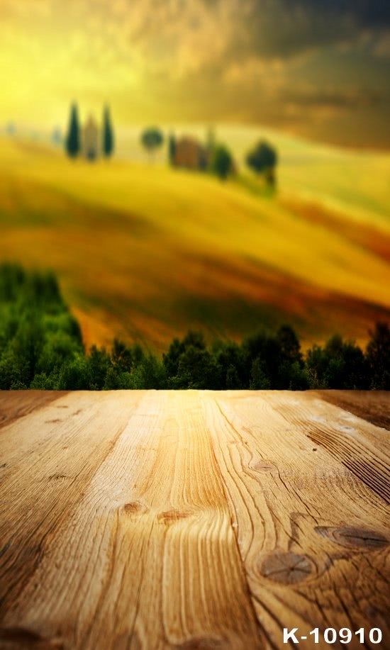 Scenic Rustic Blurred Background Wood Camera Backdrops