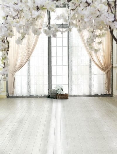 Studio Background Curtains