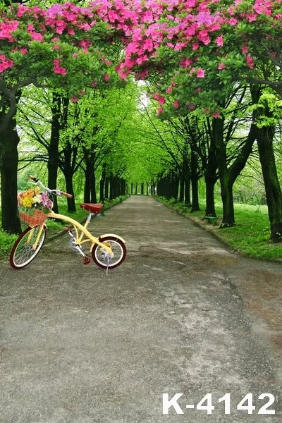 Scenic Backdrops Forest Path Bicycle Vinyl Photography Garden Backdrop
