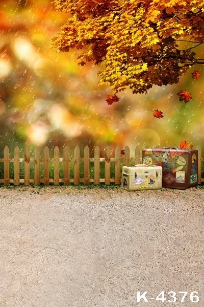 Autumn Fall Yellow Trees Rainy Garden Backdrop Background