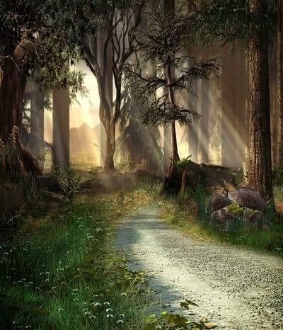 Groves in Fairy Tales Forest Path Scenic Photography Studio Backdrop