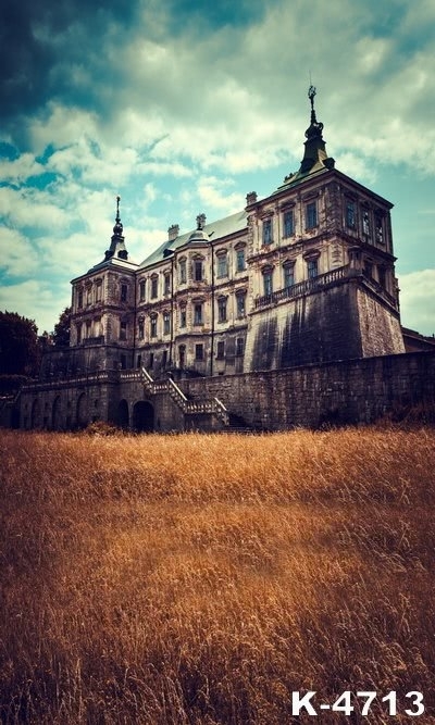 Retro Old Castle Building Scenic Backdrops Studio Background Vinyl ...