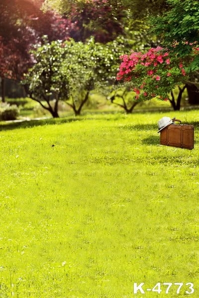 Green Grassland in Garden Scenic Vinyl Photography Backdrops
