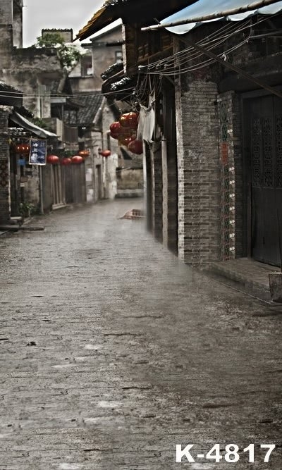 Retro Chinese Brick Houses Street Scenic Photography Studio Background