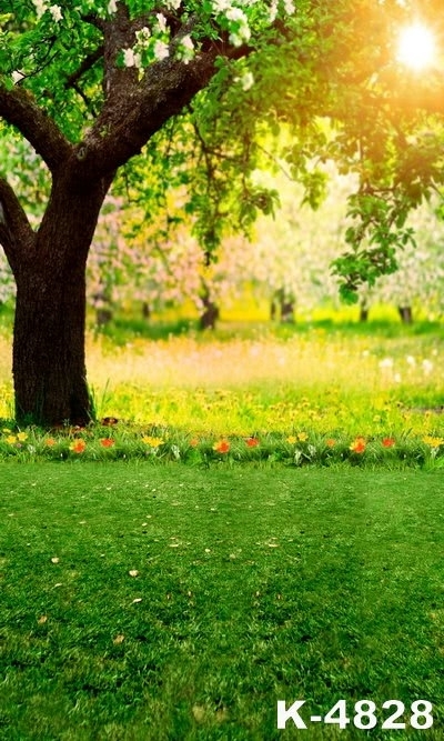 Spring Green Grassland Flowers Trees Garden Backdrop Background