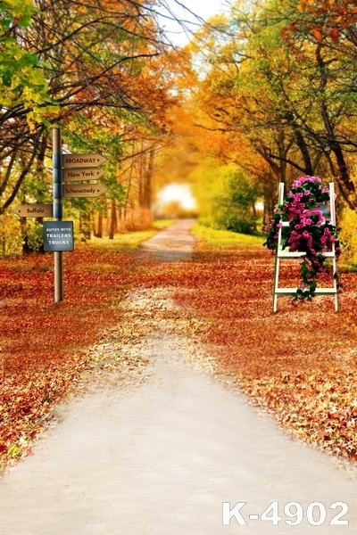 Autumn Fall Yellow Trees Leaves Road in Garden Photography Background Props