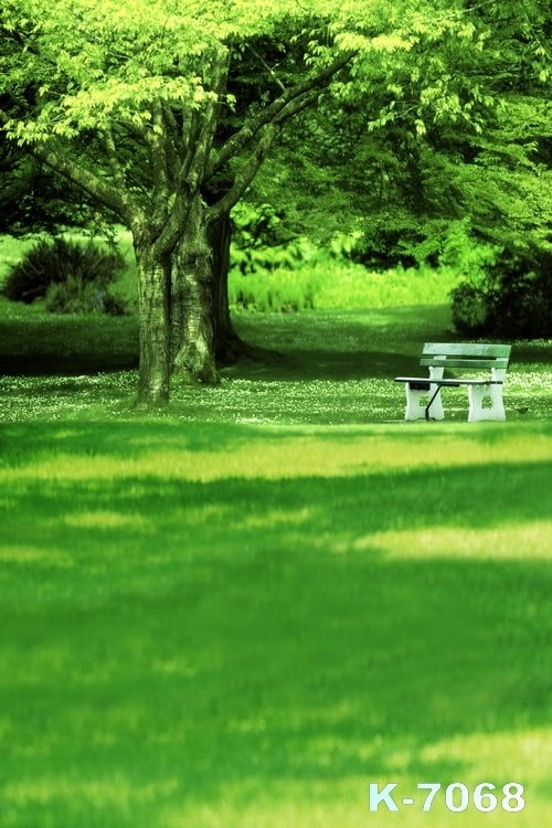 Green Big Trees Bench Green Grassland Scenic Photography Photo Backdrops
