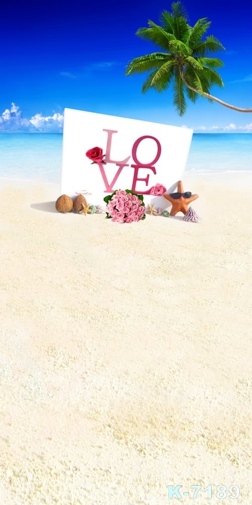 Romantic LOVE Wedding Beach Photography Backgrounds and Props