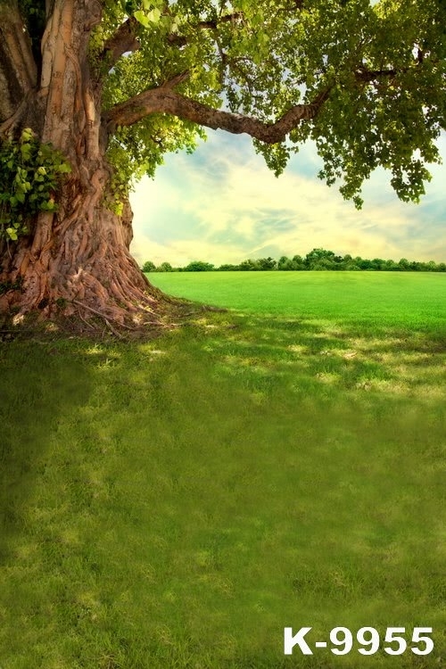 Spring Green Big Tree Grass Land Rustic Scenic Affordable Photo Backdrops