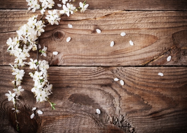 rustic flower background