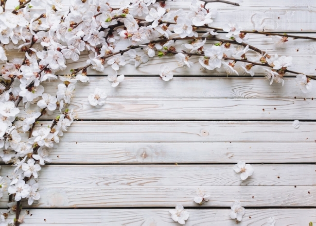 rustic white wood background