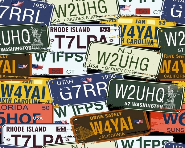 License Plate Number Backdrop Newborn Baby Children Kids Adults ...