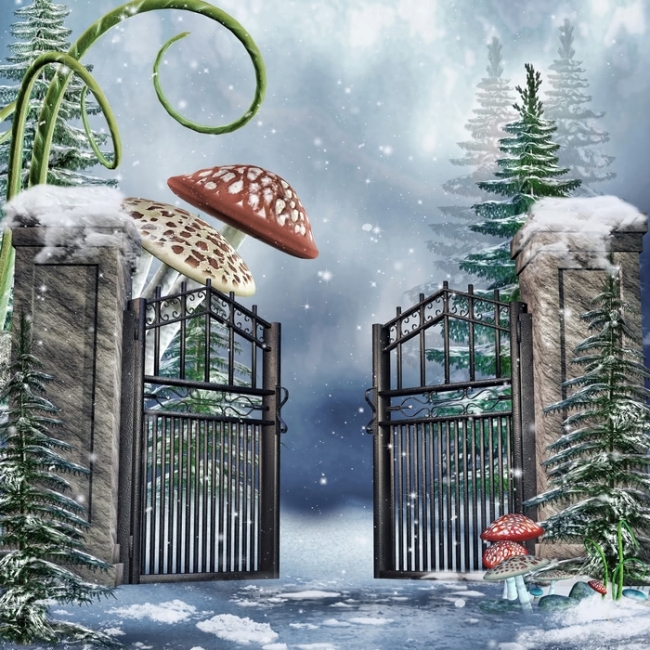 Winter Snow Gate Mushrooms Enchanted Forest Wonderland Backdrop ...