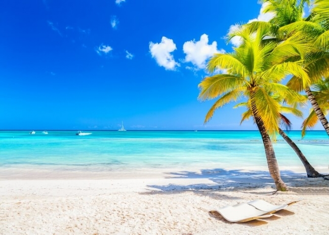 beach backdrop for party