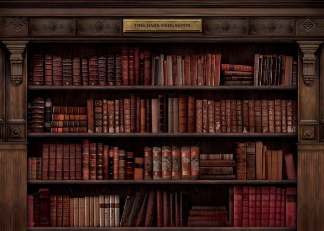 Retro Bookcase Bookshelf Backdrop Studio Party Photography Background